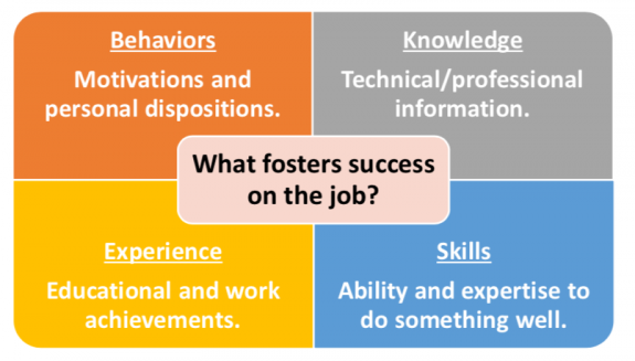 The Comprehensive Guide to Succession Planning - EDSI