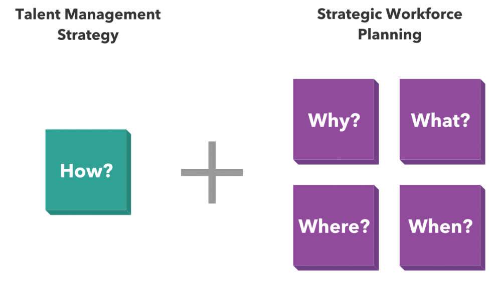 Talent Management Strategy 101 - EDSI
